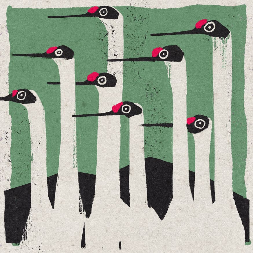 Quadro Birds by Ophelia Pang | Obrah